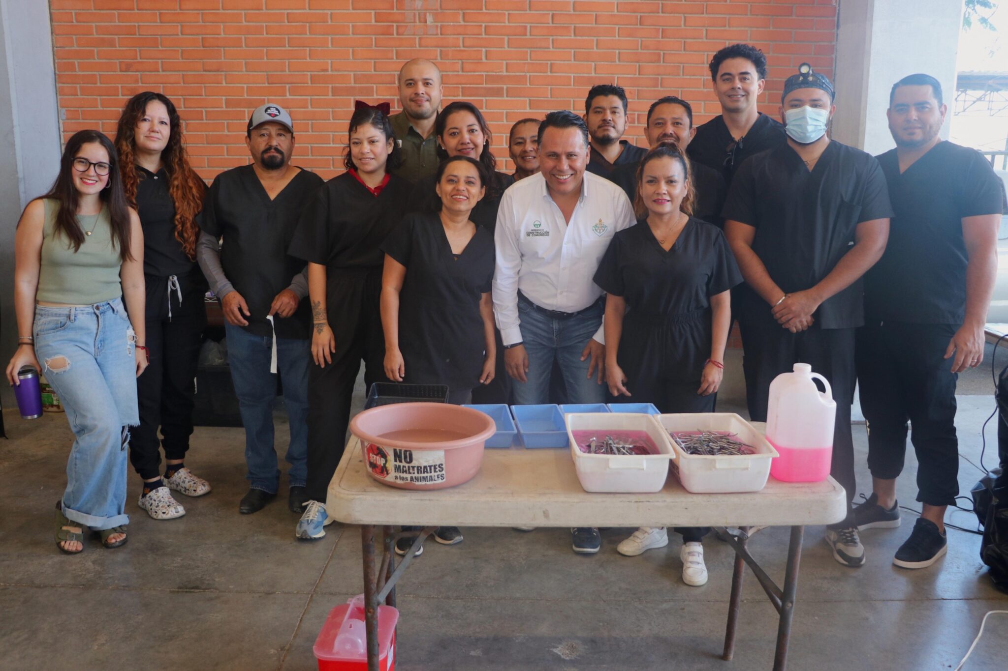Gobierno de Munguía promueve la salud y bienestar animal con campaña de ...